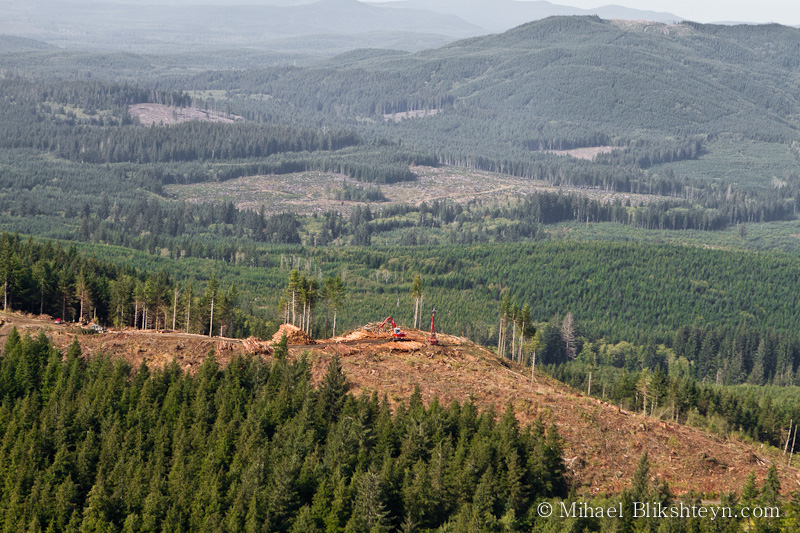 Logging The Olympic Peninsula - MB Commercial Photography