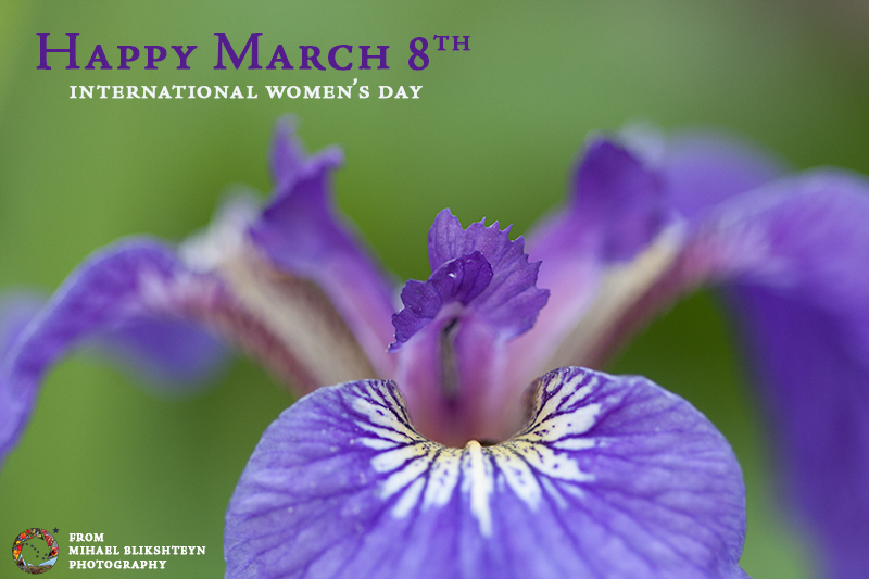 Happy March 8th, International Women's Day! - MB Commercial Photography